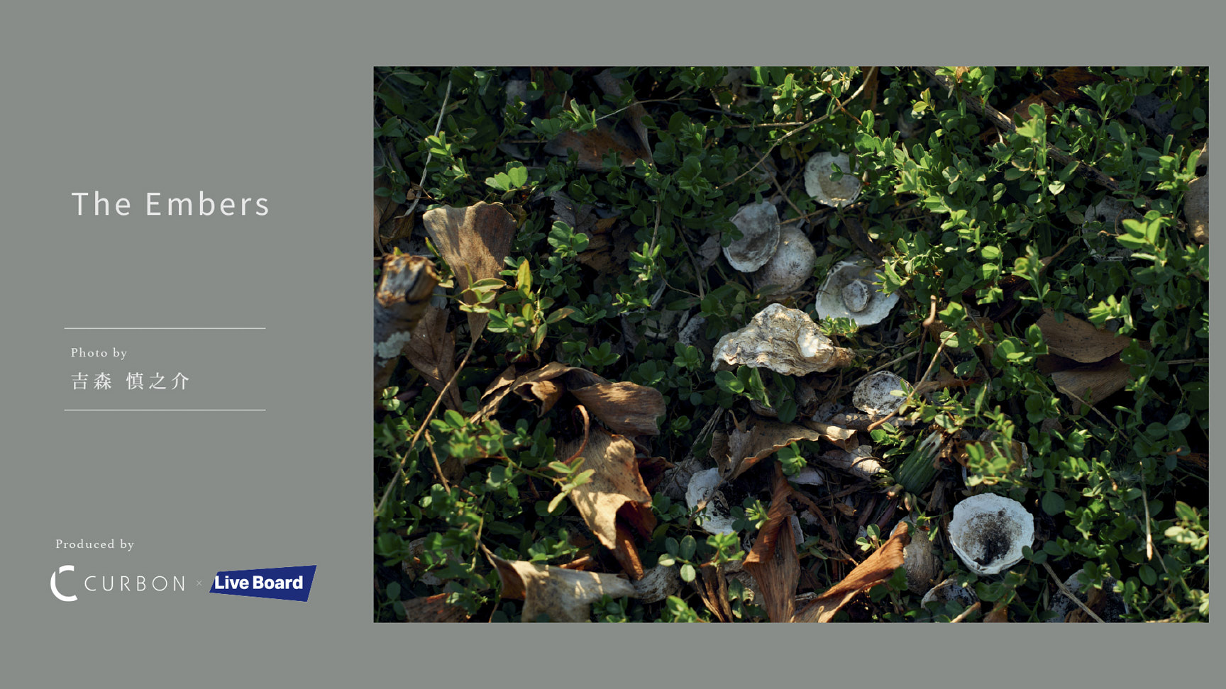 CURBON × Live Board “The Embers” - project - shinnosukeyoshimori