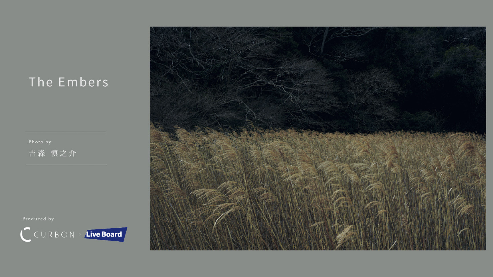 CURBON × Live Board “The Embers” - project - shinnosukeyoshimori